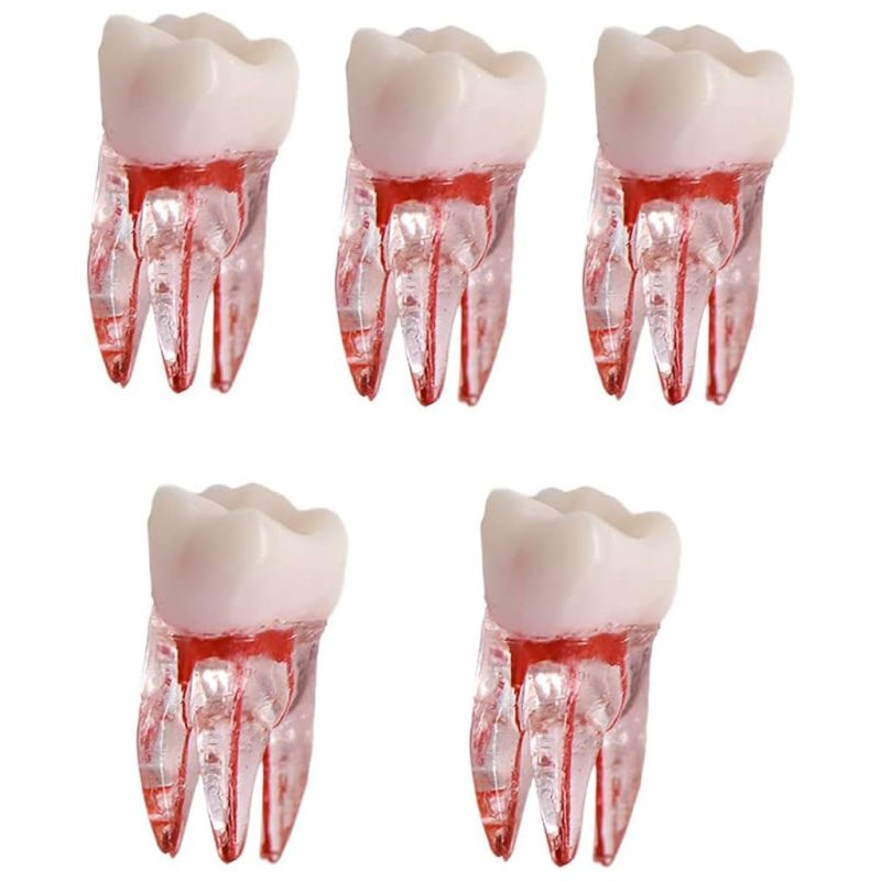 Resin dental canal teeth - Wali Dental Supply